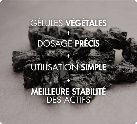 PHYTOMANCE Shilajit - Therascience