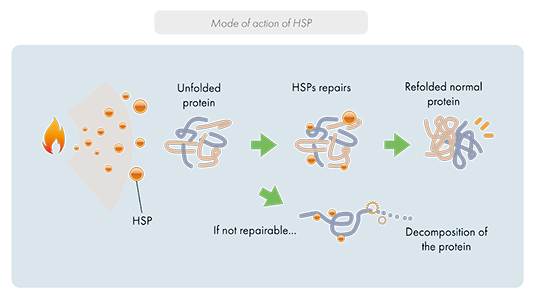 ETAS®-en - Therascience