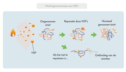 ETAS®-nl - Therascience