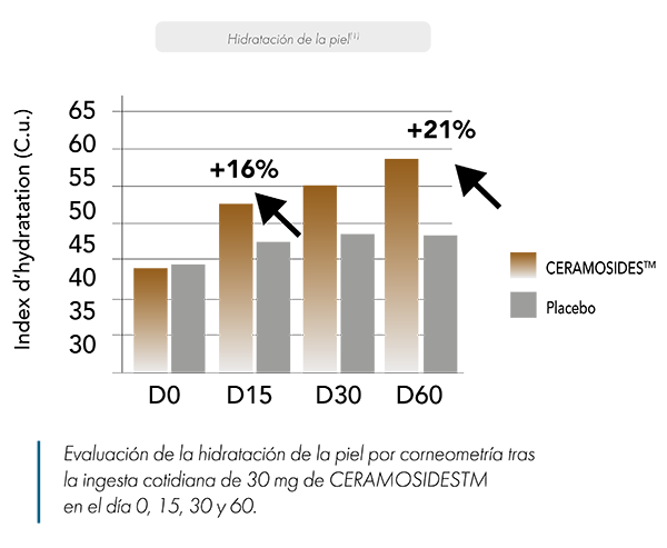 CERAMOSIDES-es - Therascience